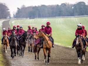 Michael Bell Racing | Horses in Training